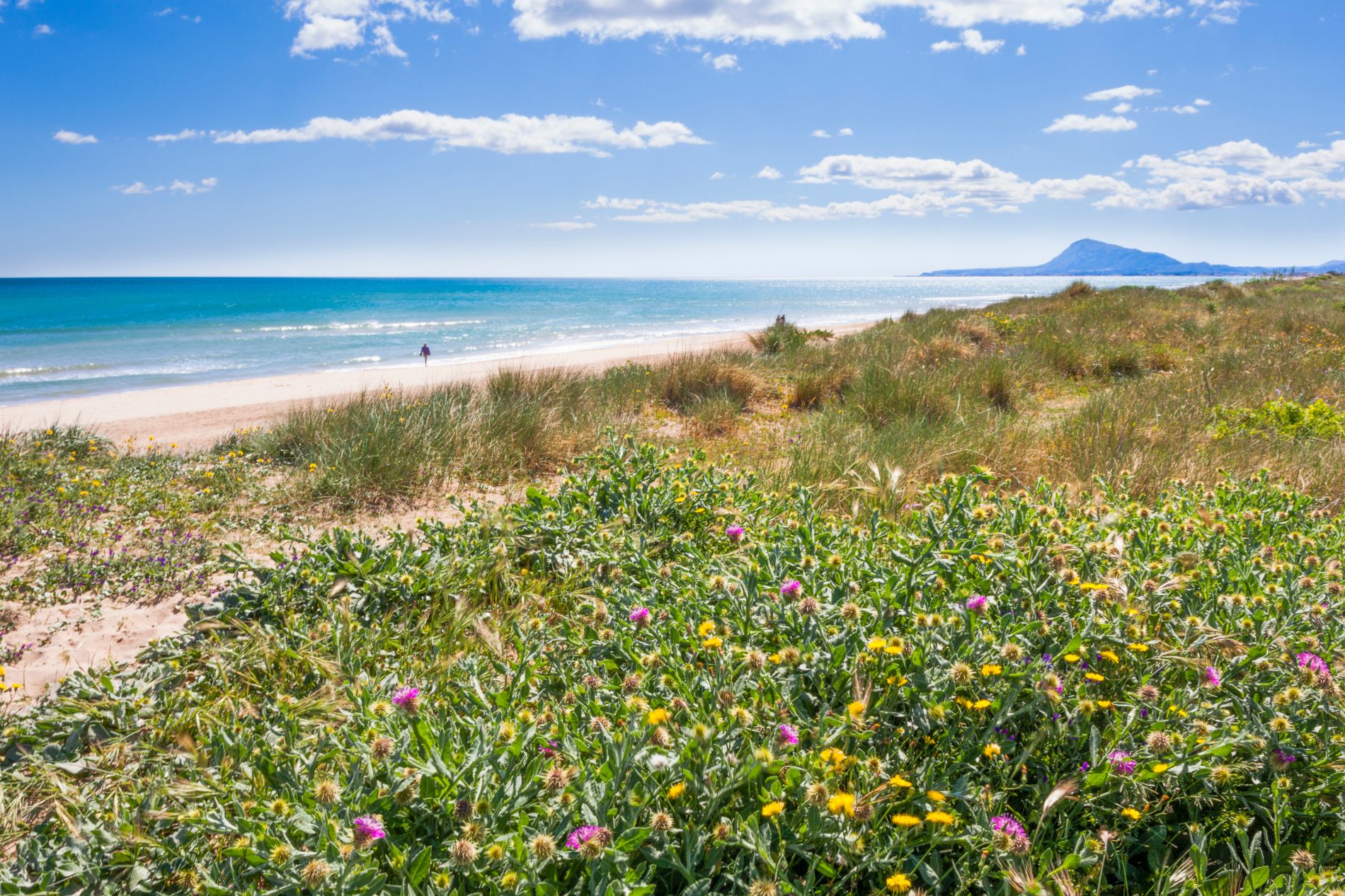 Playa Aigua Blanca