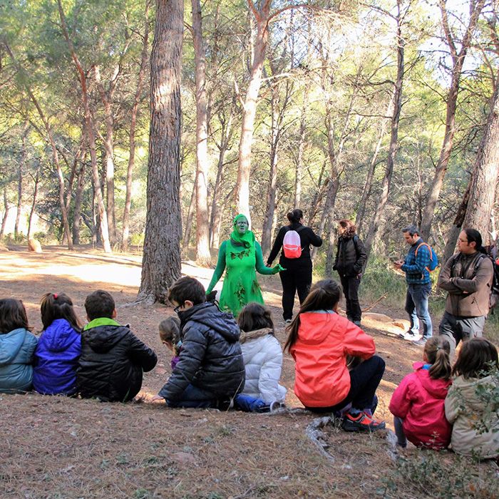 Descubre la planta mágica de Sángana